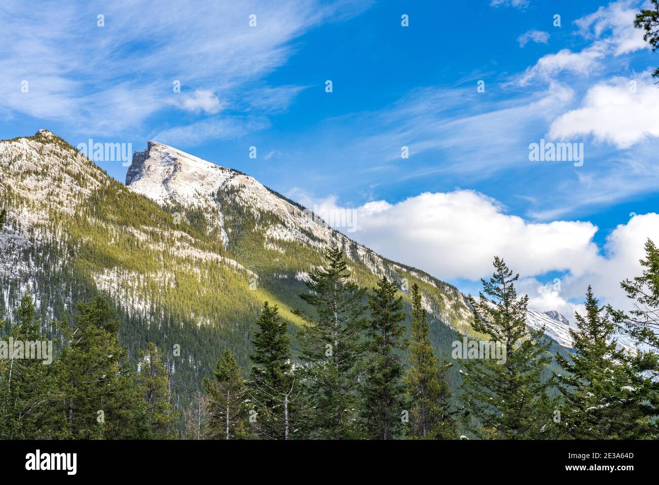 Snow-covered Mount Rundle mountain range with snowy forest over blue ...