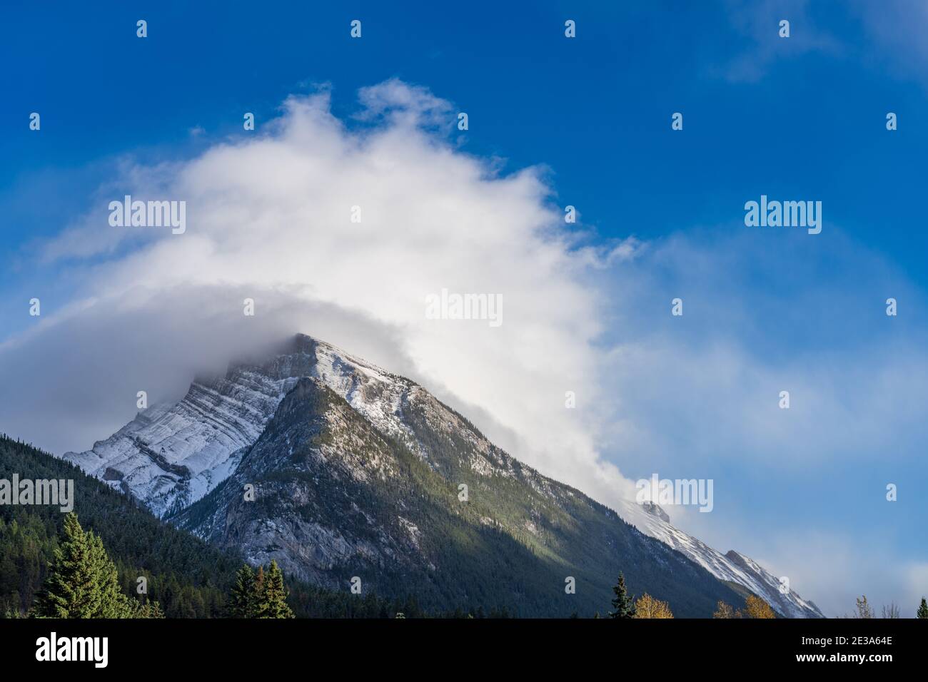 Snow-covered Mount Rundle mountain range with snowy forest over blue ...