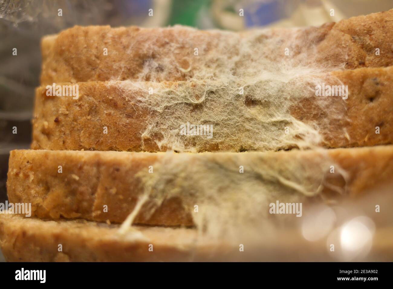 Black Bread Mold High Resolution Stock Photography and Images - Alamy