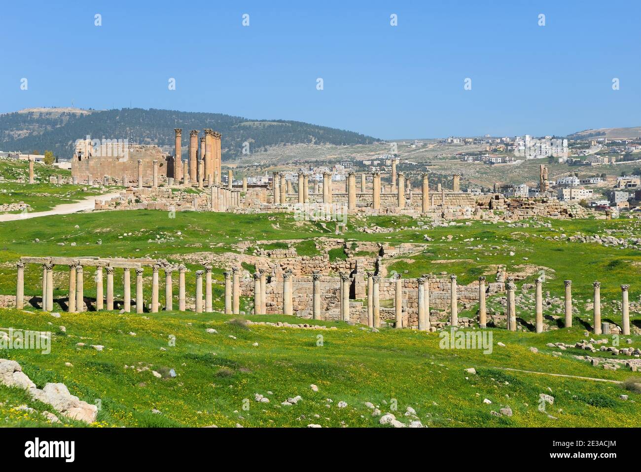 Columns of anciet roman and byzantine city of Jerash in Jordan ...