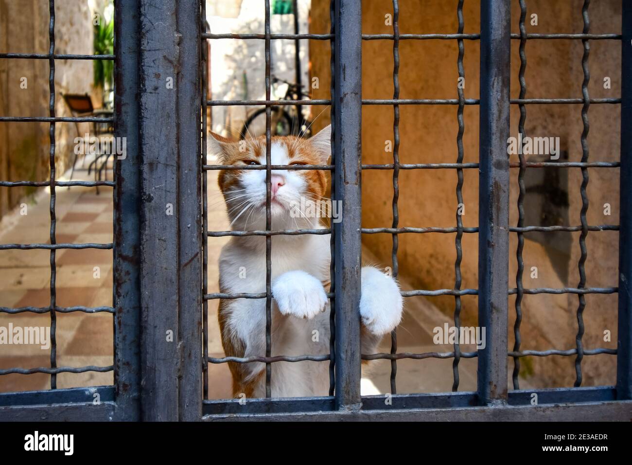 Prisoner behind bars hi-res stock photography and images - Alamy