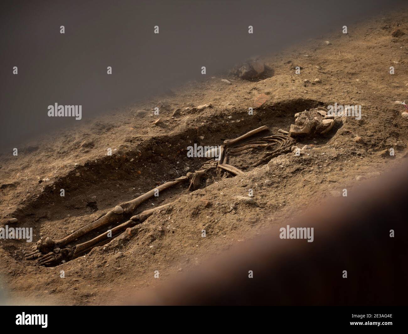 Closeup view of a human skeleton remains bones skull at an excavation ...