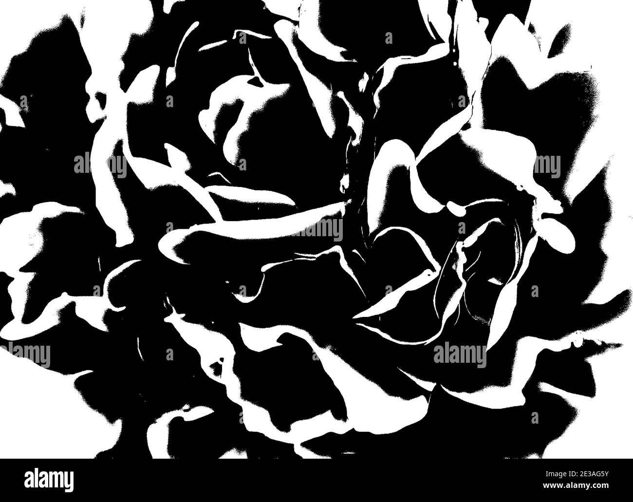 Black And White Contrast Drawing