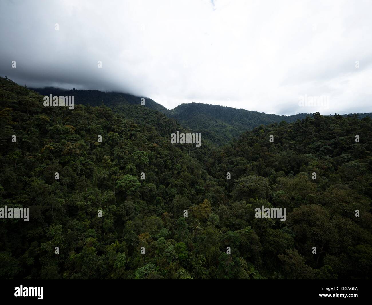Panorama view of green nature hills in tropical rain cloud forest Mindo ...