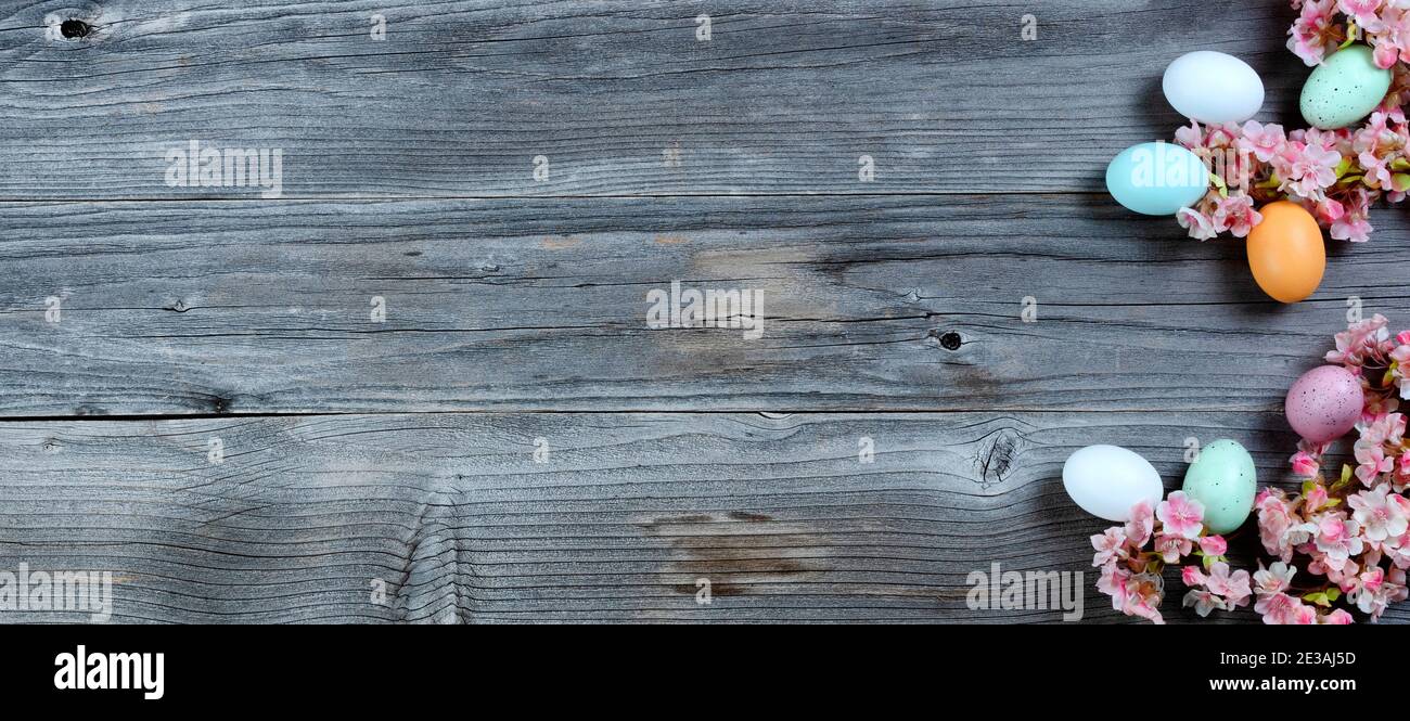 Happy Easter holiday concept with right border of pink cherry tree ...