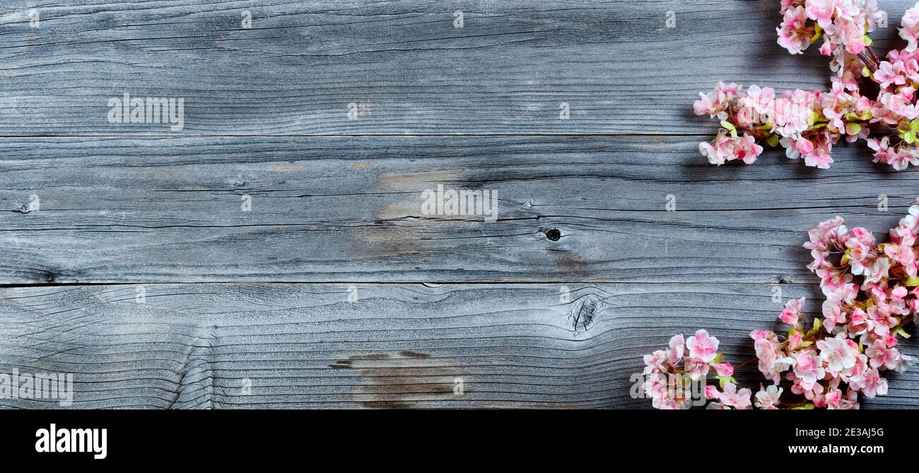 Happy Easter holiday concept with right border of pink cherry tree ...