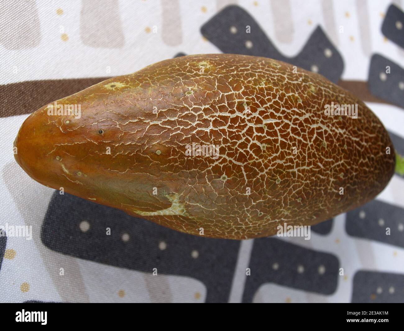 Asian salad plant outside hi-res stock photography and images - Alamy