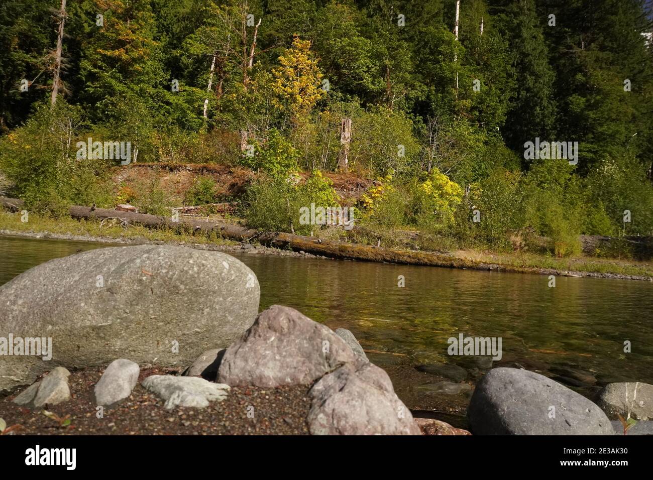 Logging roads hi-res stock photography and images - Alamy