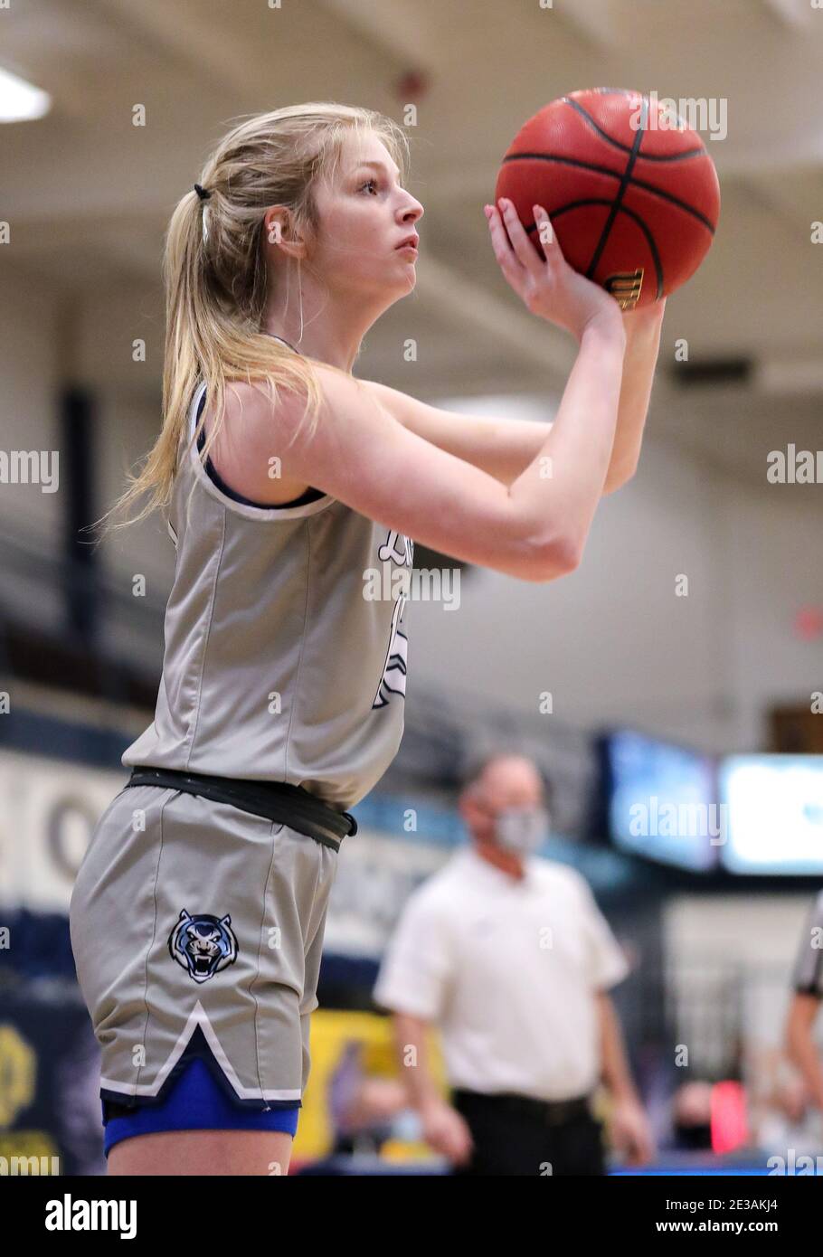 Lincoln blue tigers hi-res stock photography and images - Alamy