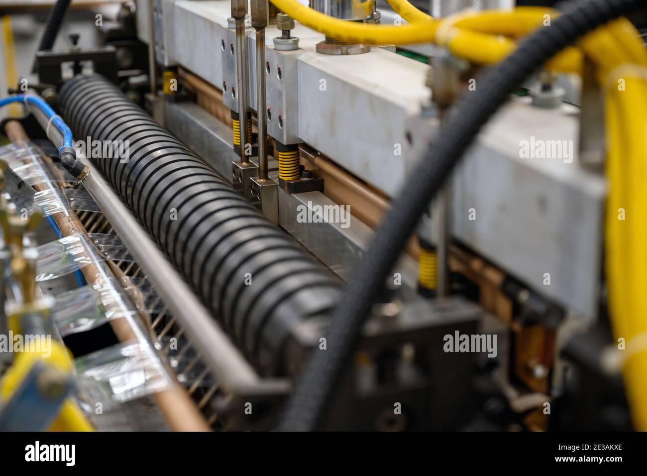 Seal cutting knife hi-res stock photography and images - Alamy