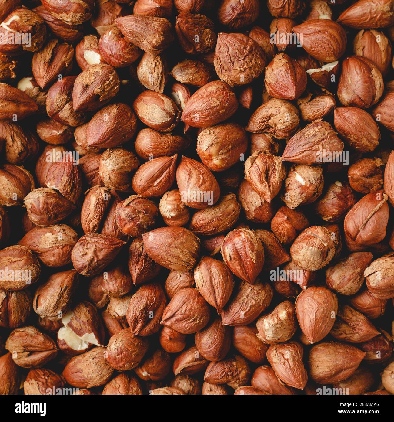 Fresh organic ripe hazelnuts in a pile top view full frame healthy food ...