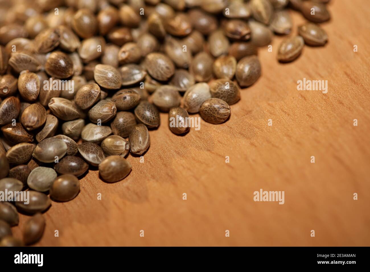 Cannabis seed hi-res stock photography and images - Alamy