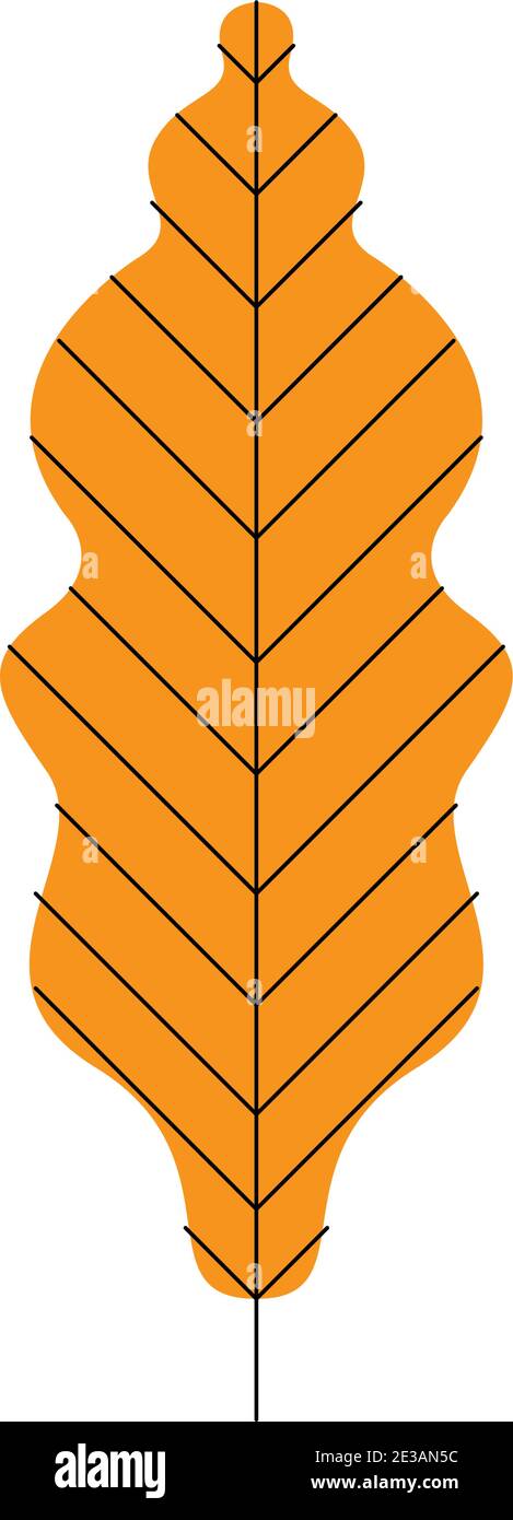 leaf design of Plant natural floral and theme Vector illustration Stock ...