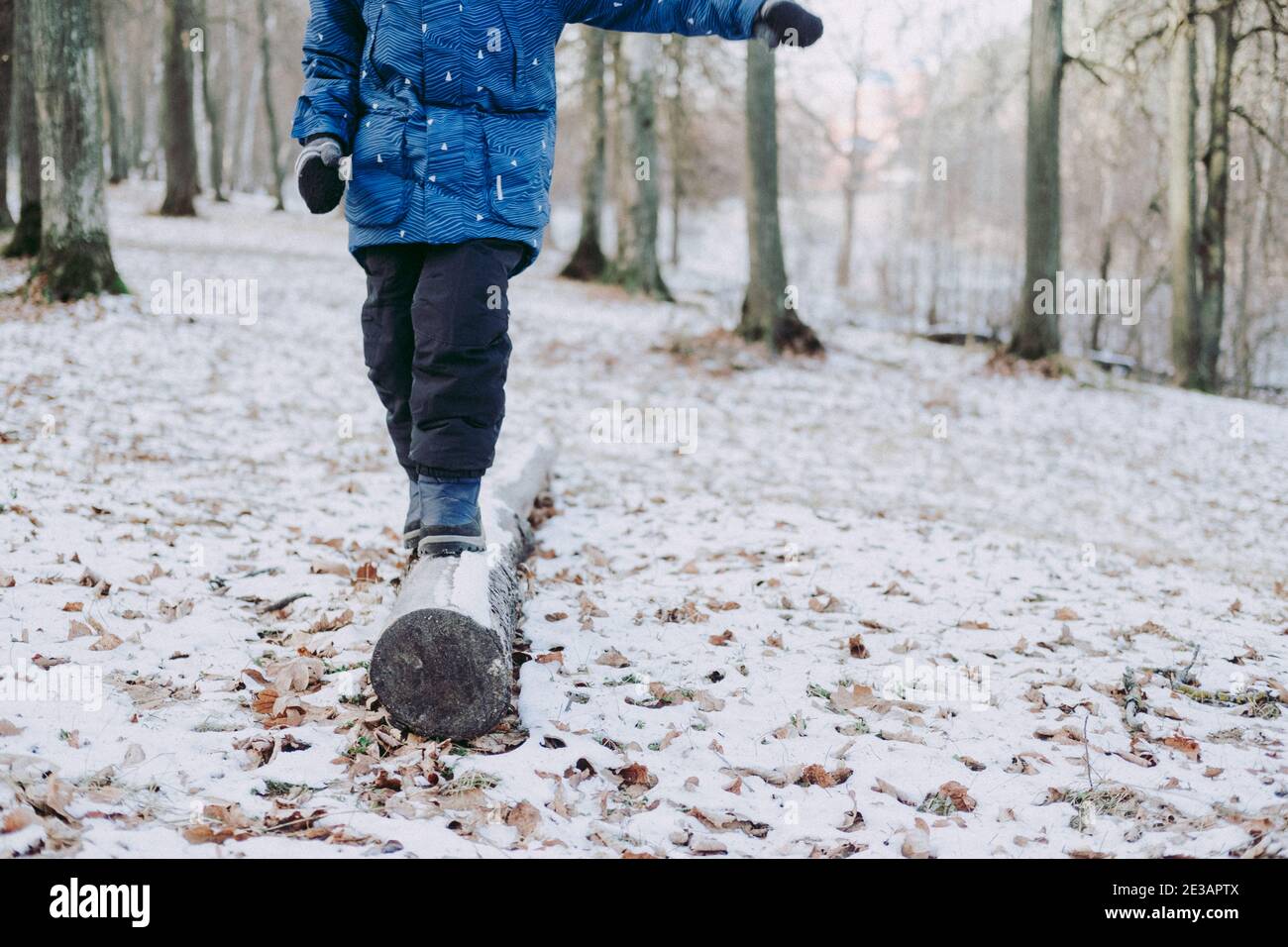 Boy walking on log hi-res stock photography and images - Alamy