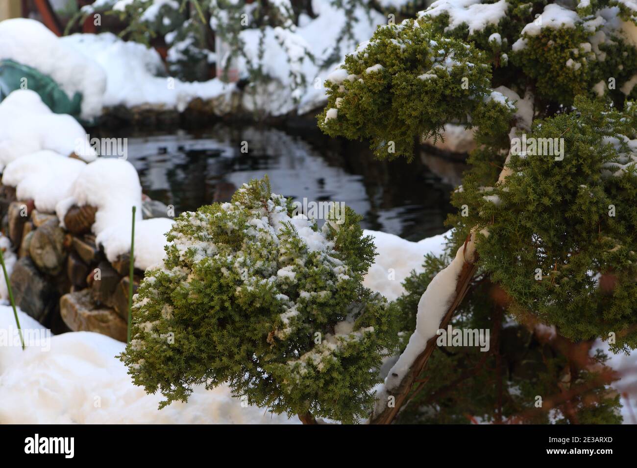 Courtyard of a country house in winter Stock Photo - Alamy