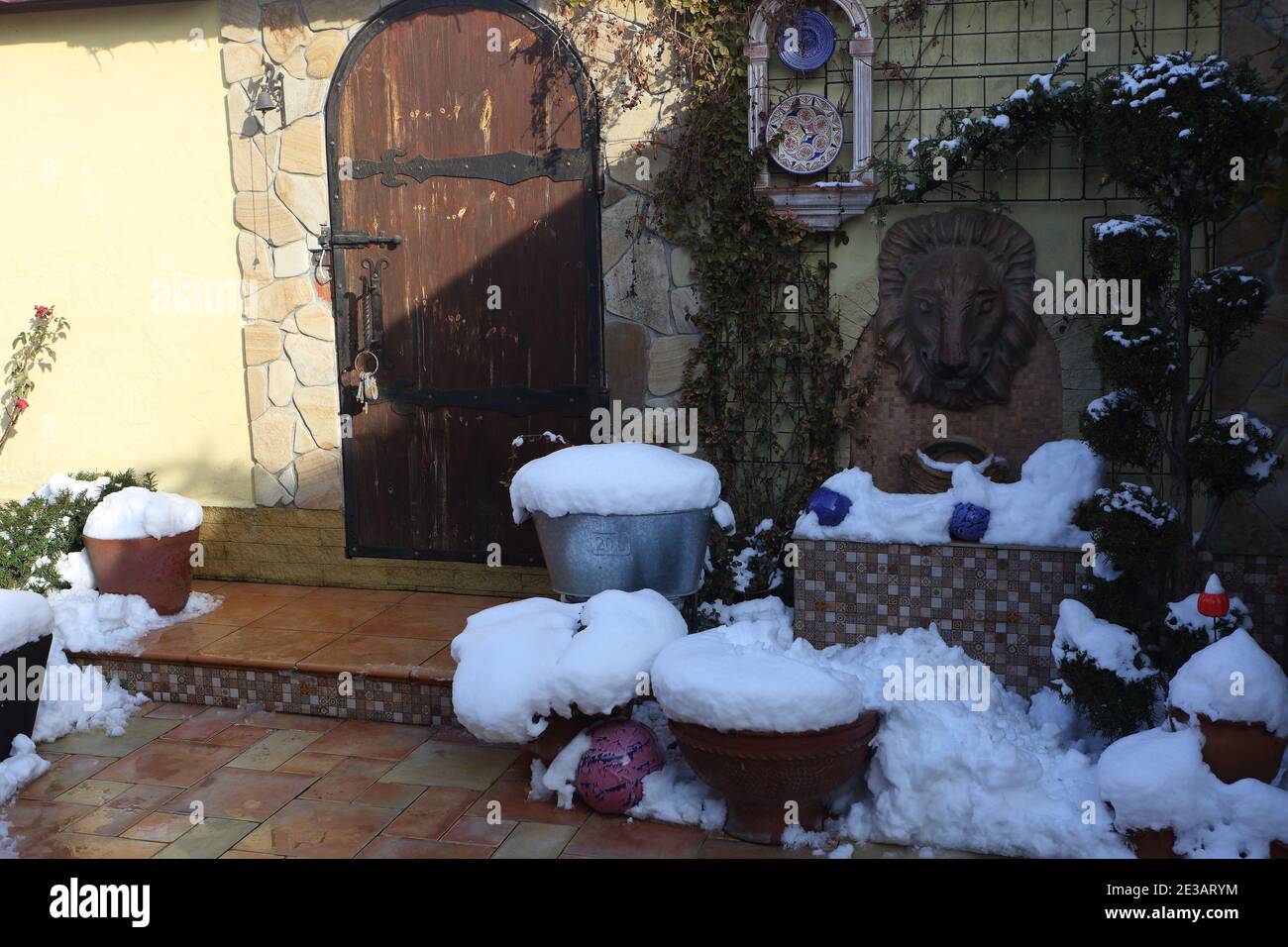 Winter vegetable garden hedge hi-res stock photography and images - Alamy