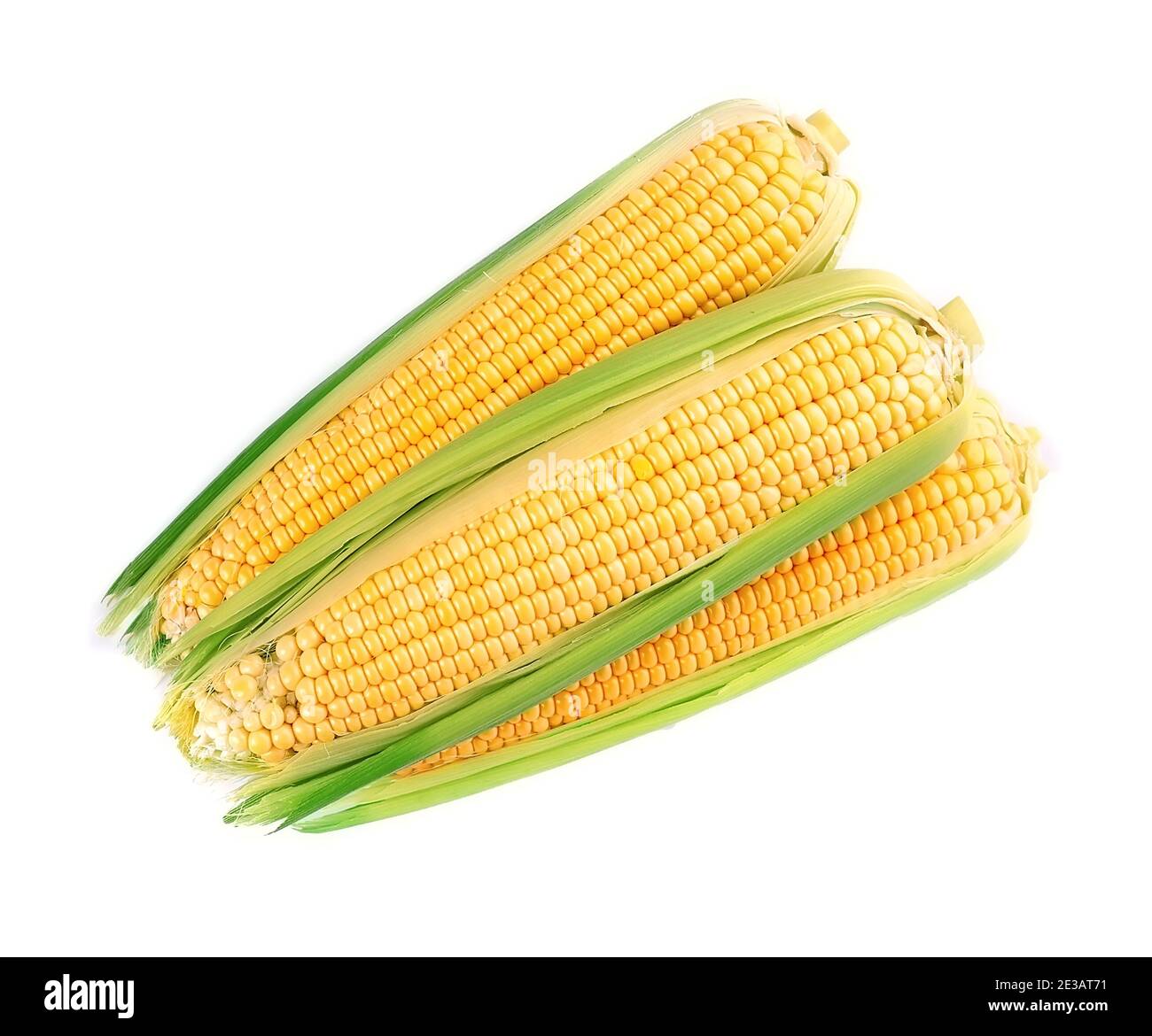 Ear of corn isolated on white backgrounds Stock Photo - Alamy