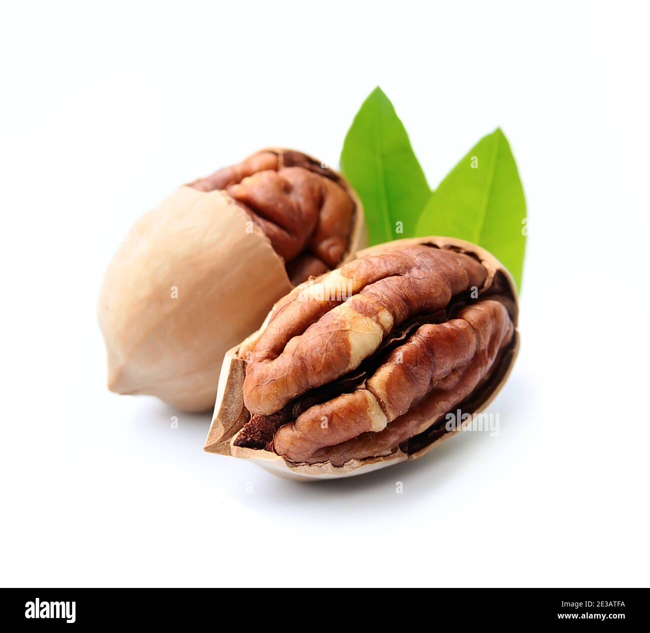 Pecan nuts with leaves on white backgrounds Stock Photo - Alamy