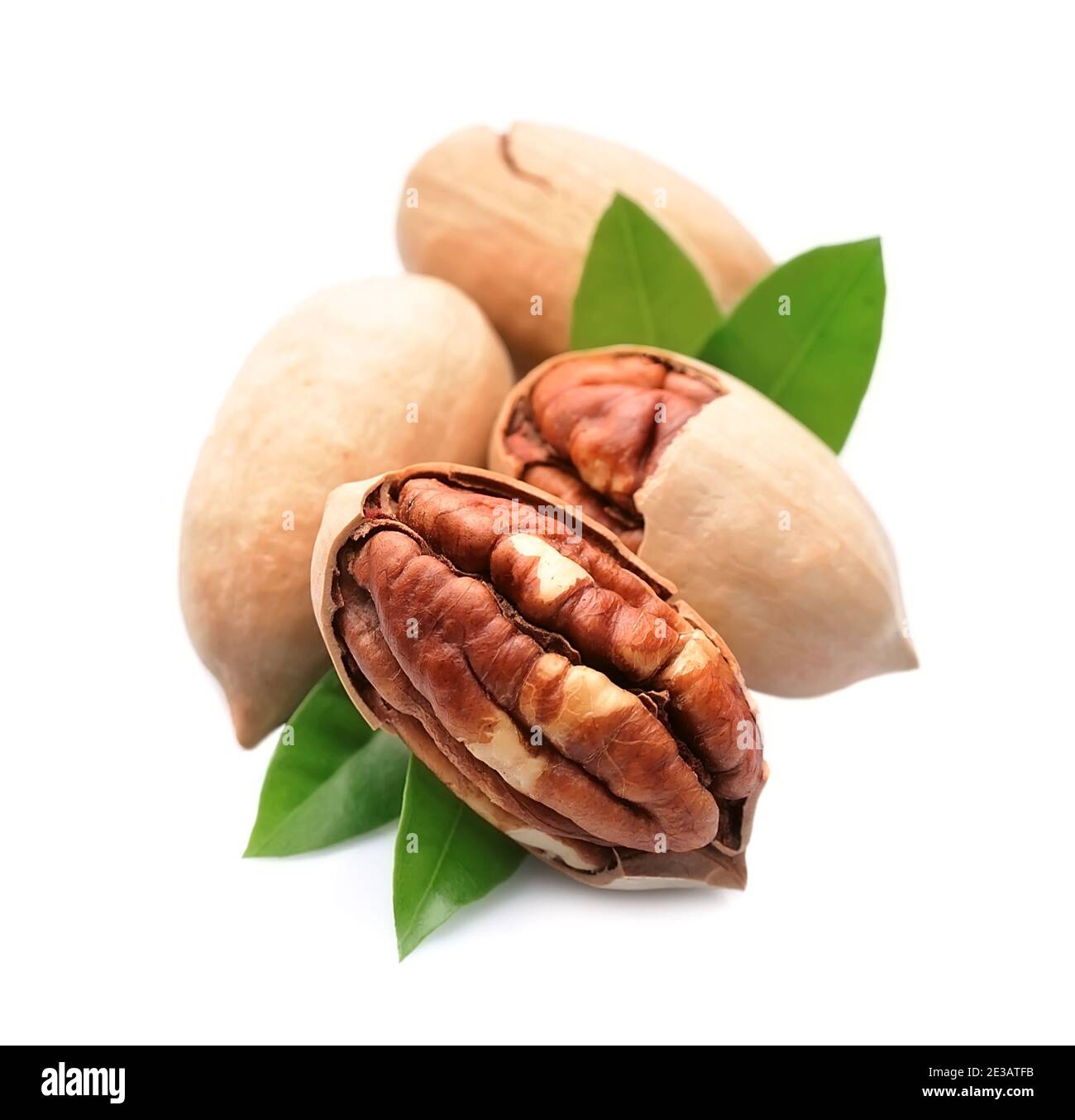 Pecan nuts with leaves on white backgrounds Stock Photo - Alamy