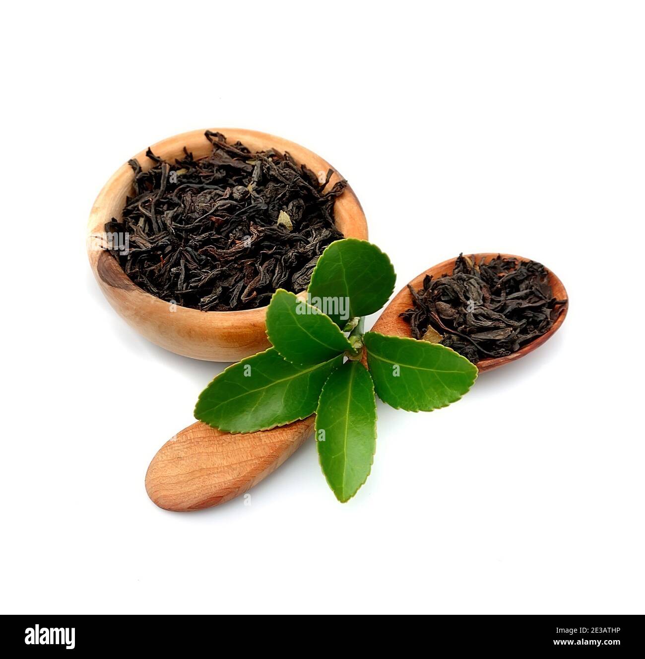 Dried tea and fresh leaves tea on white backgrounds Stock Photo - Alamy