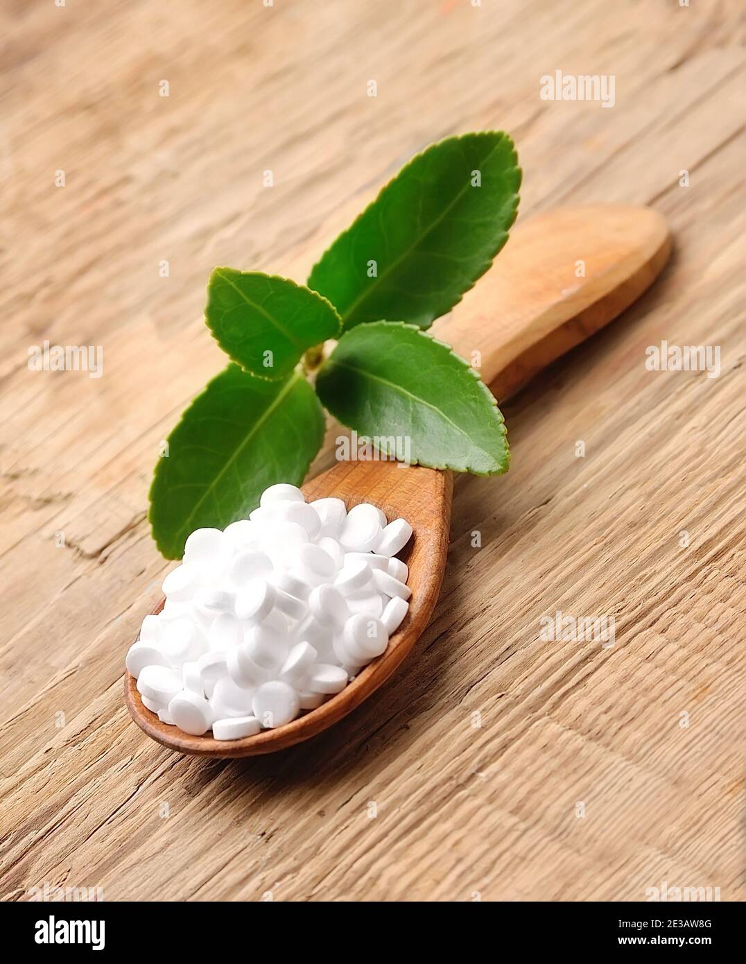 Stevia leaves hi-res stock photography and images - Alamy