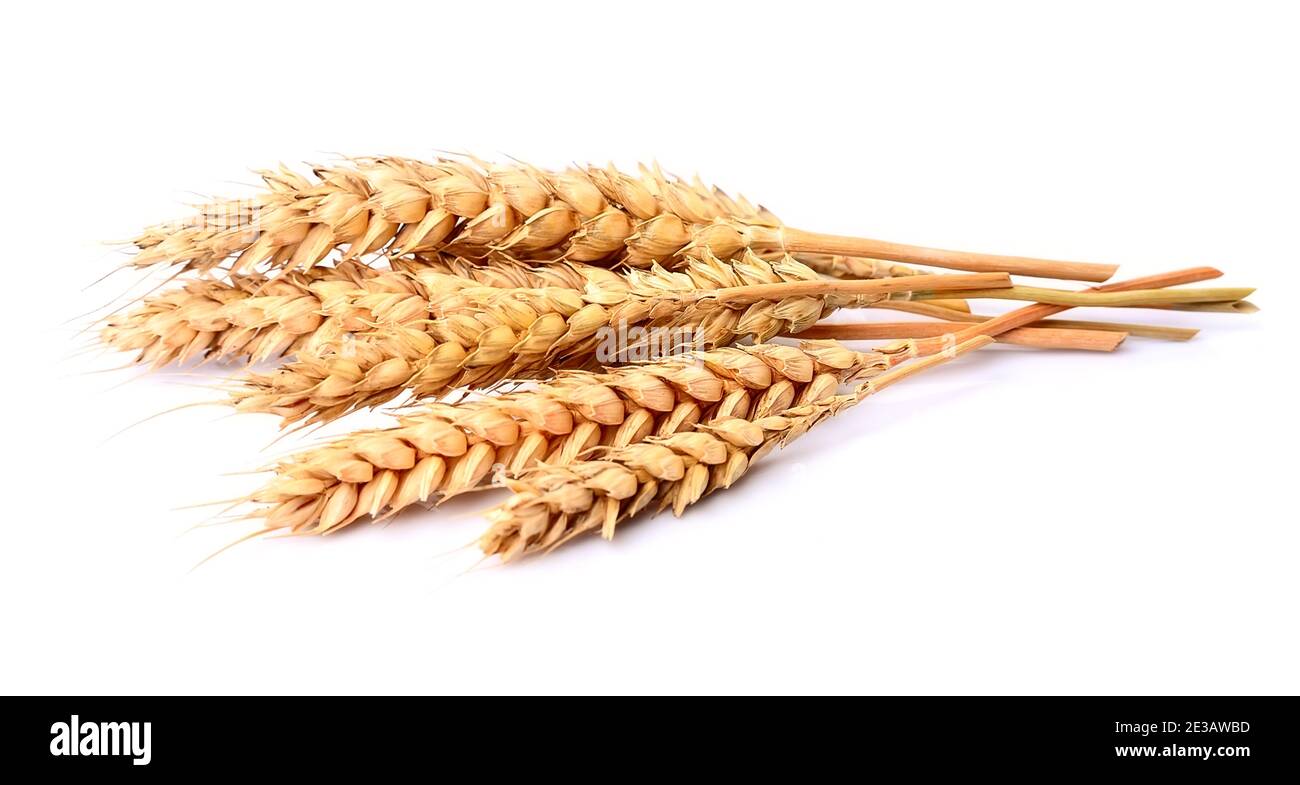 Heap of wheat isolated on white backgrounds Stock Photo - Alamy