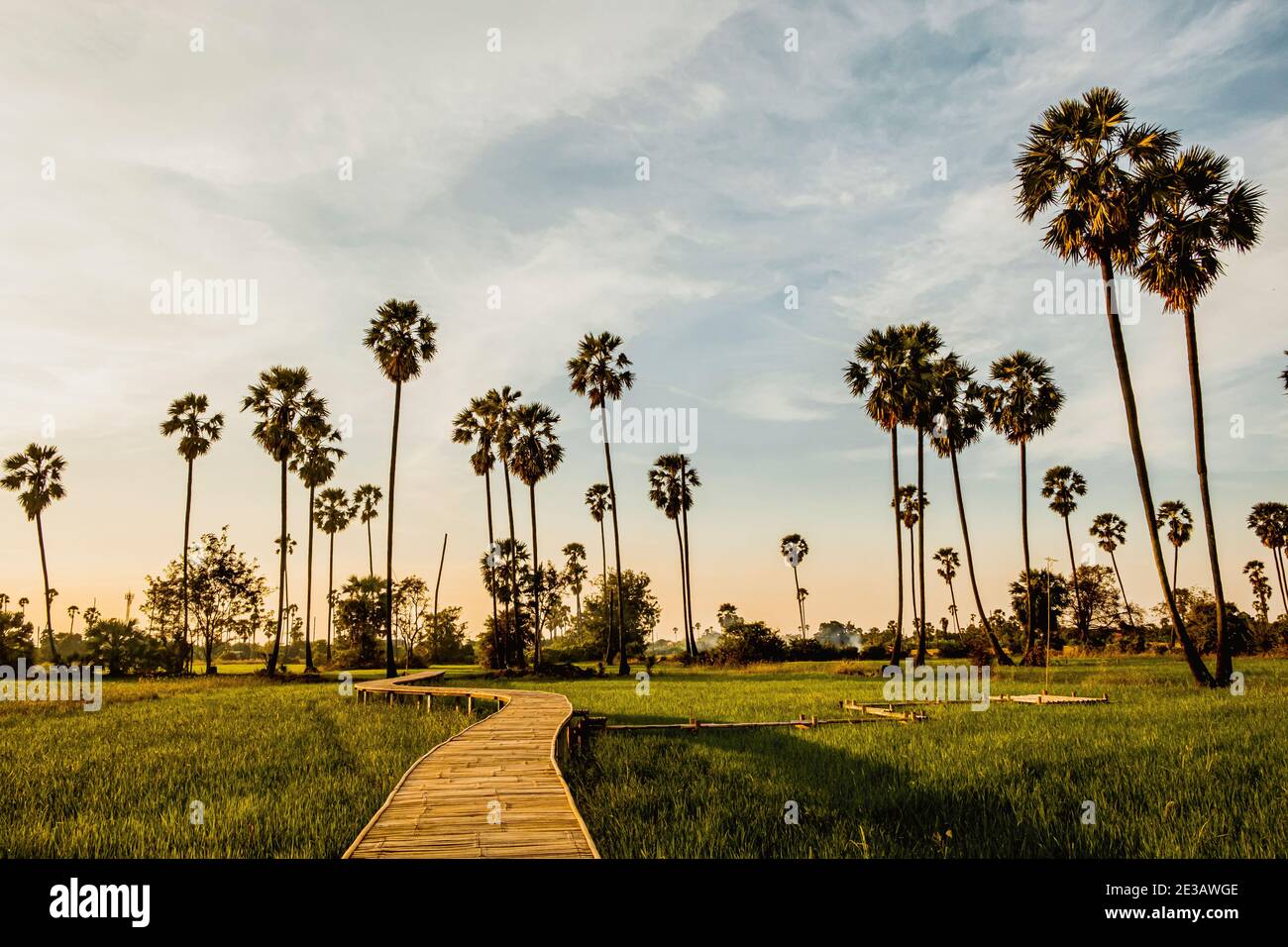 Beautiful wooden Bamboo bridge among the tropical palm trees at sunset ...