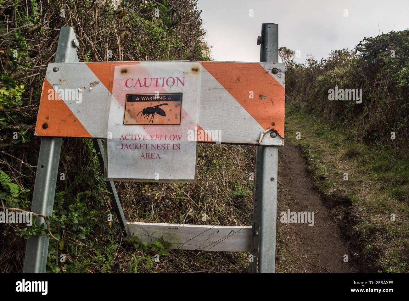 A sign warning of an active yellow jacket nest directly next to a ...