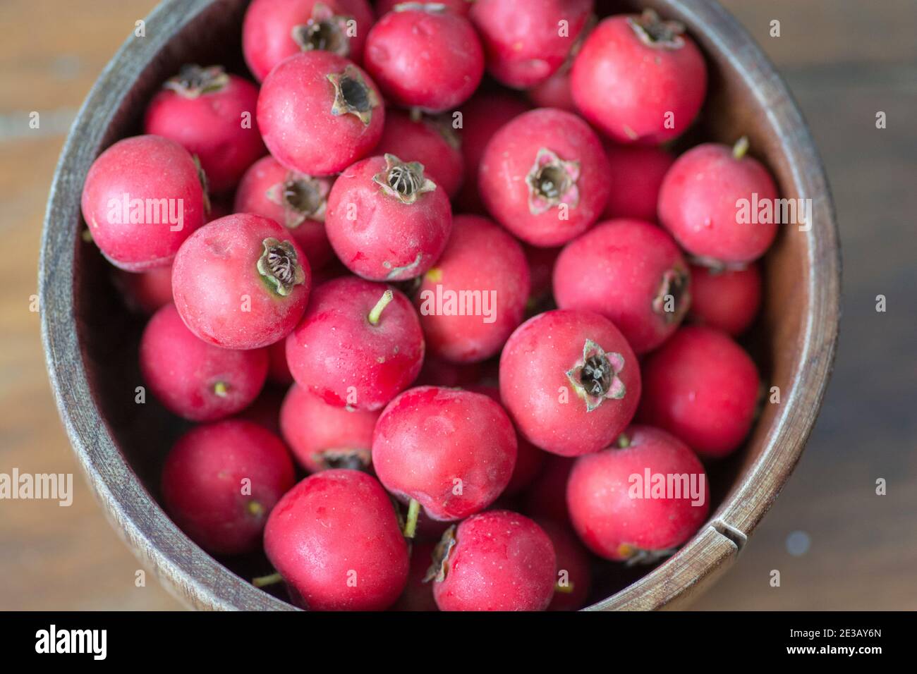 Top view of red Scarlet Hawthorn fruits (Crataegus coccinea), piled up ...
