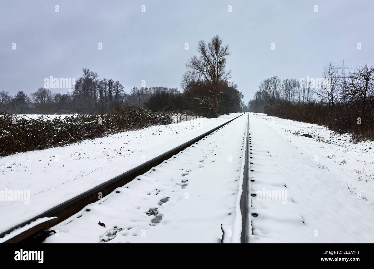 Railroad tracks covered with snow leading through countryside forest in ...