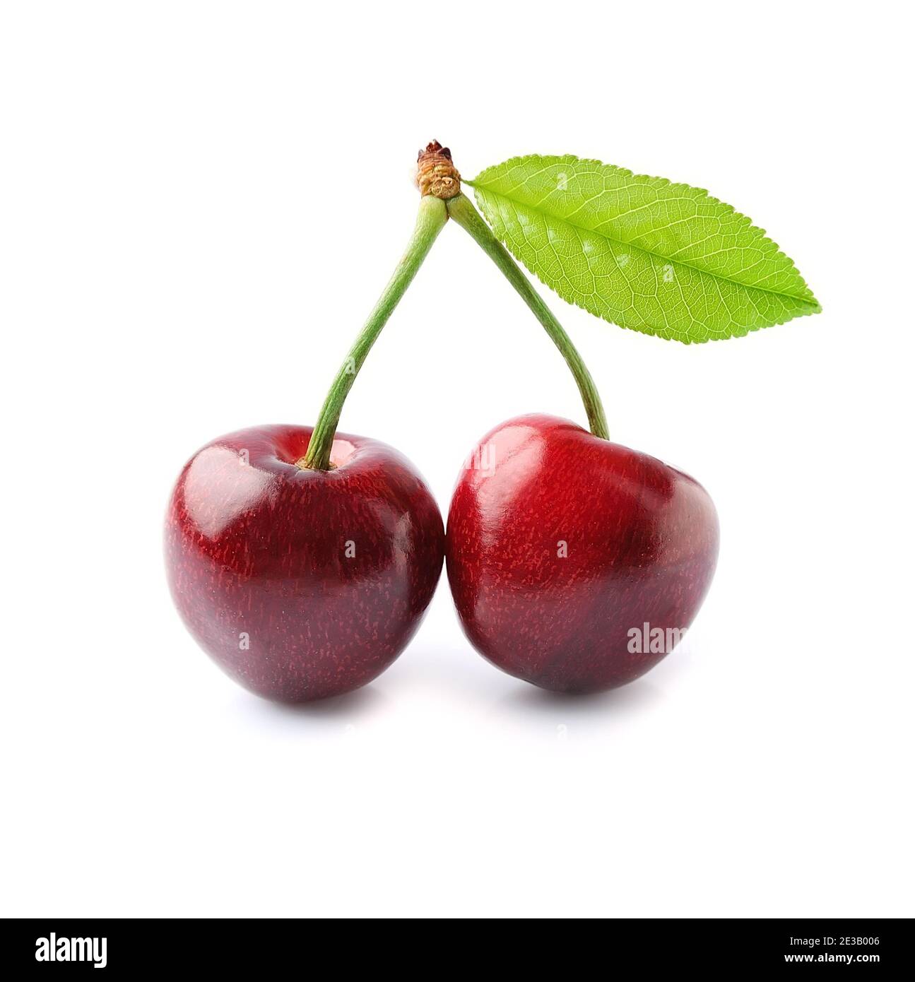 Cherry fruits in close up on white backgrounds Stock Photo - Alamy