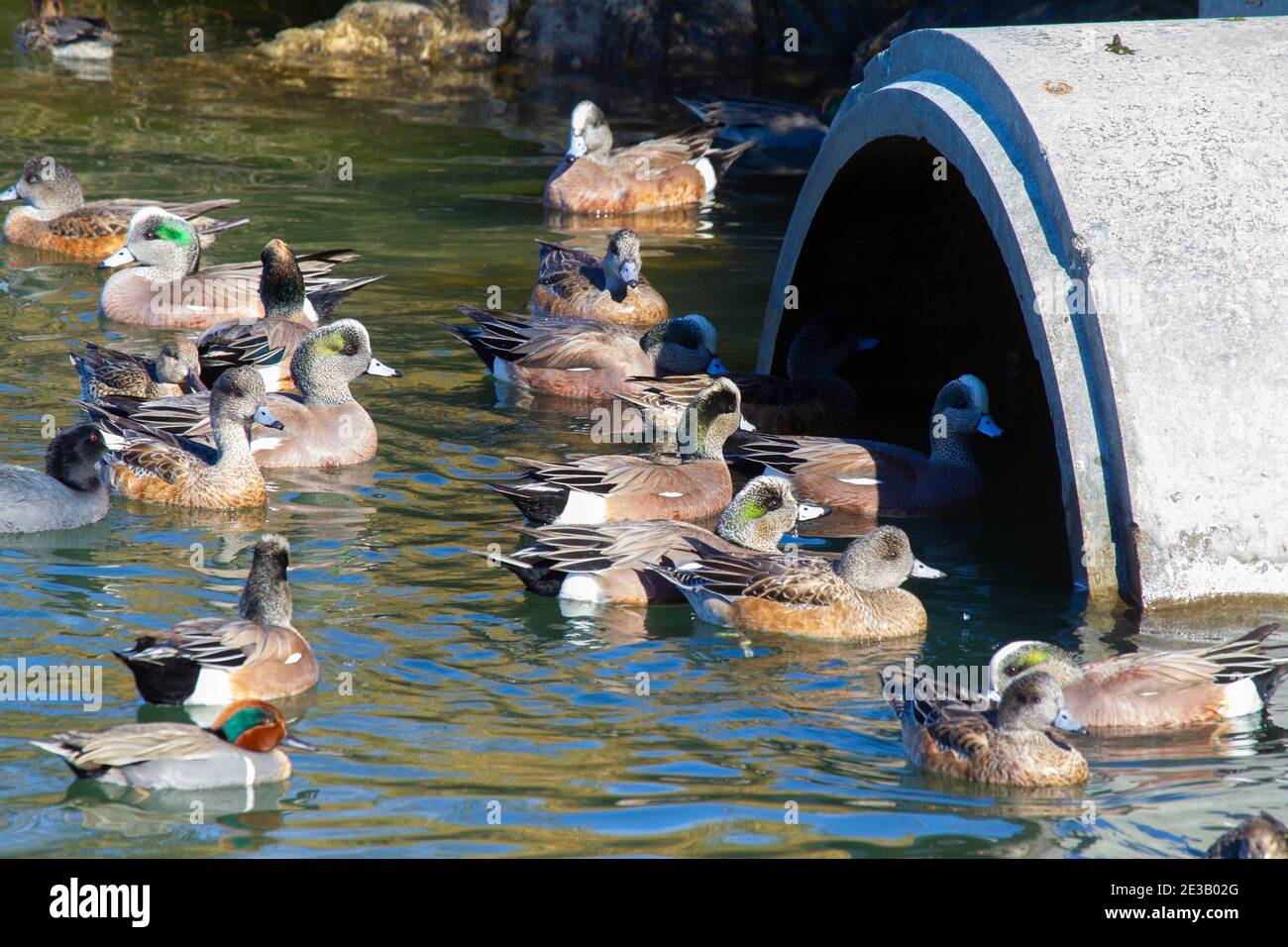 Dinking hi-res stock photography and images - Alamy