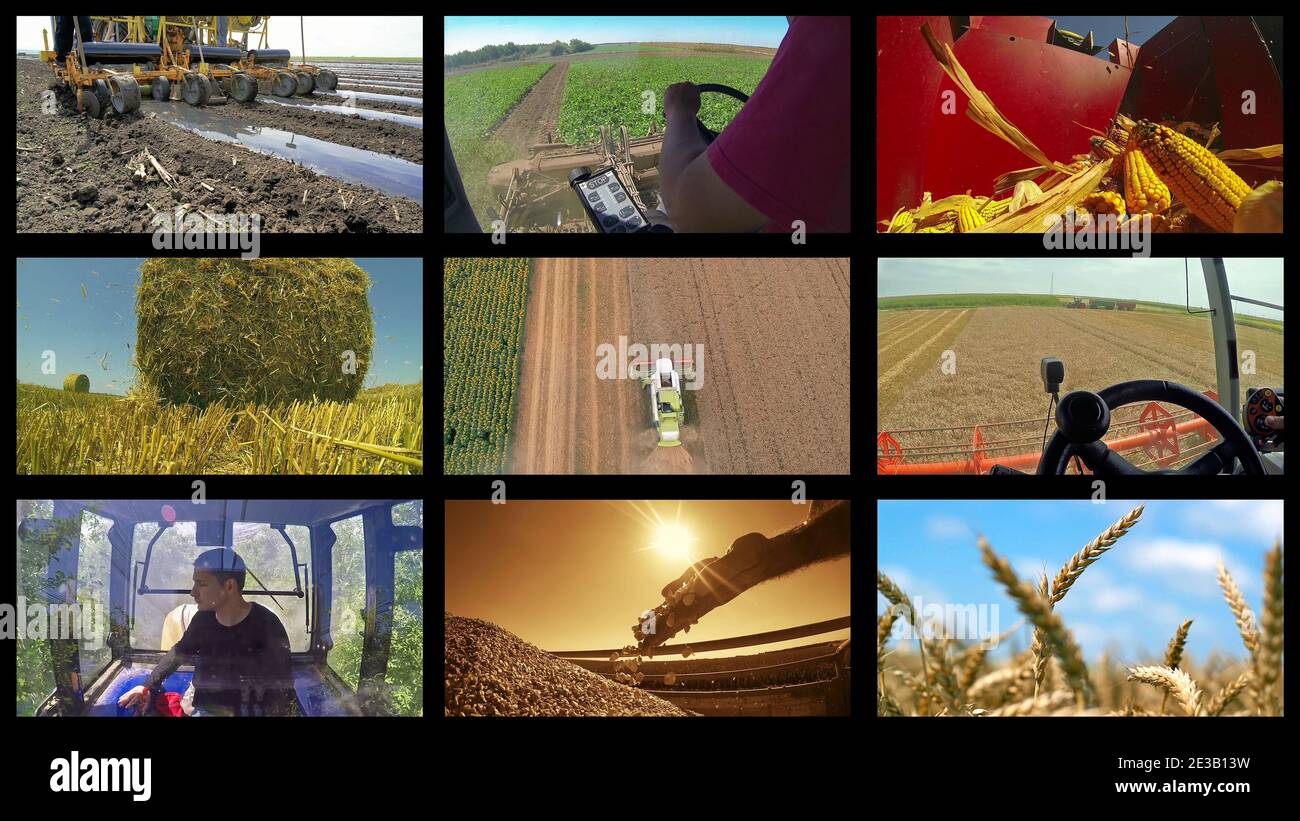 Agricultural collage hi-res stock photography and images - Alamy