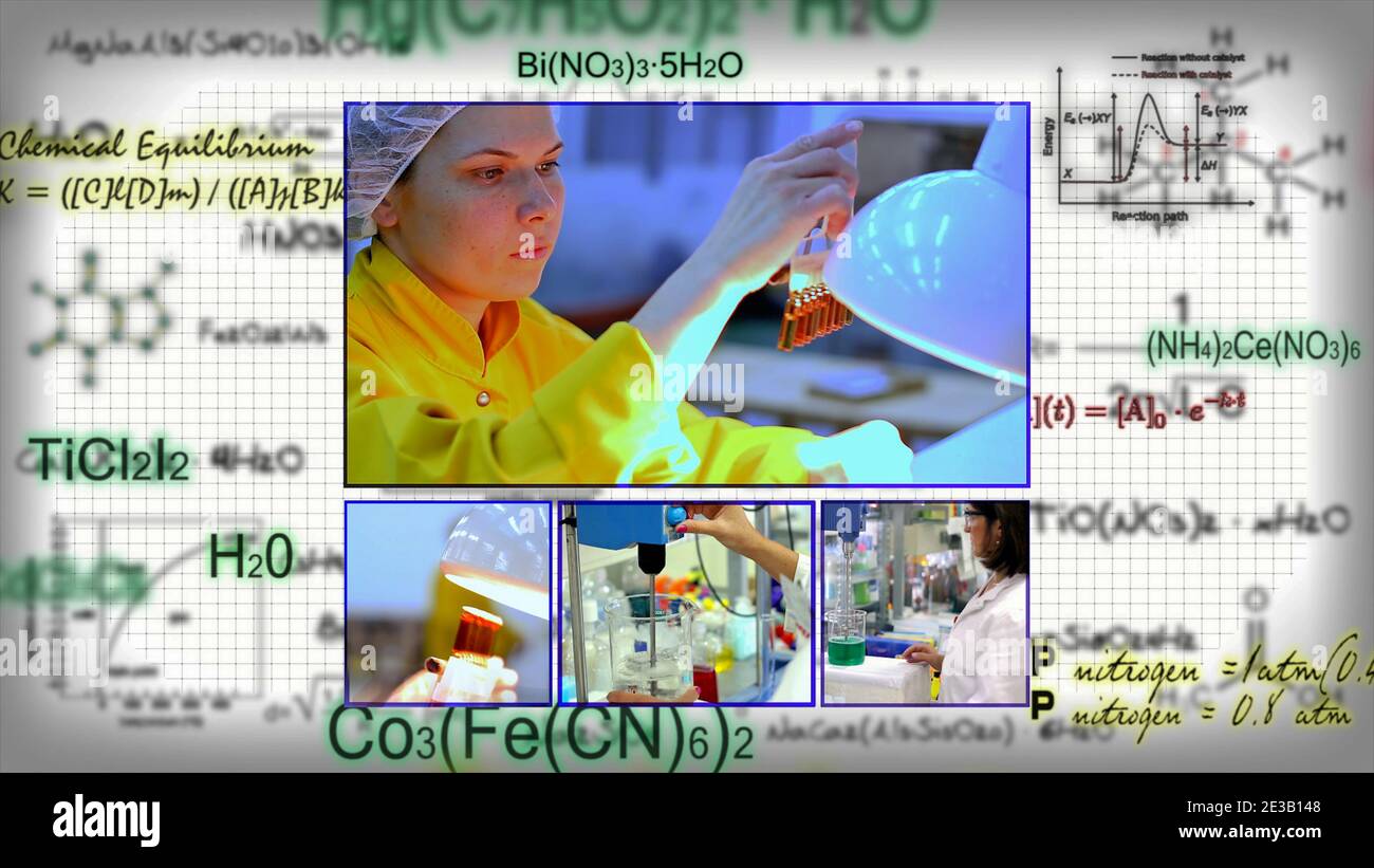 Collage of Photographs Showing Researchers Working in a Laboratory Over ...