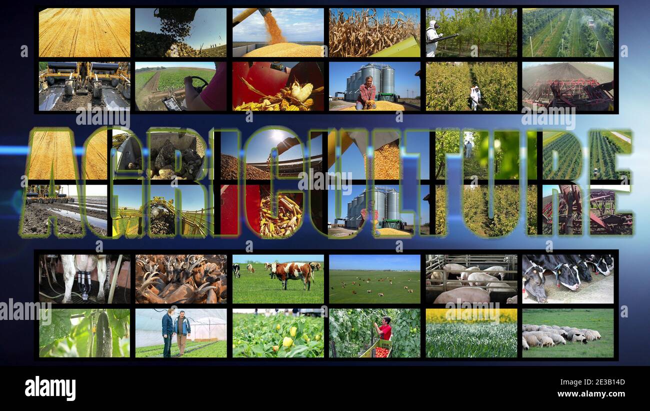 Food video production hi-res stock photography and images - Alamy