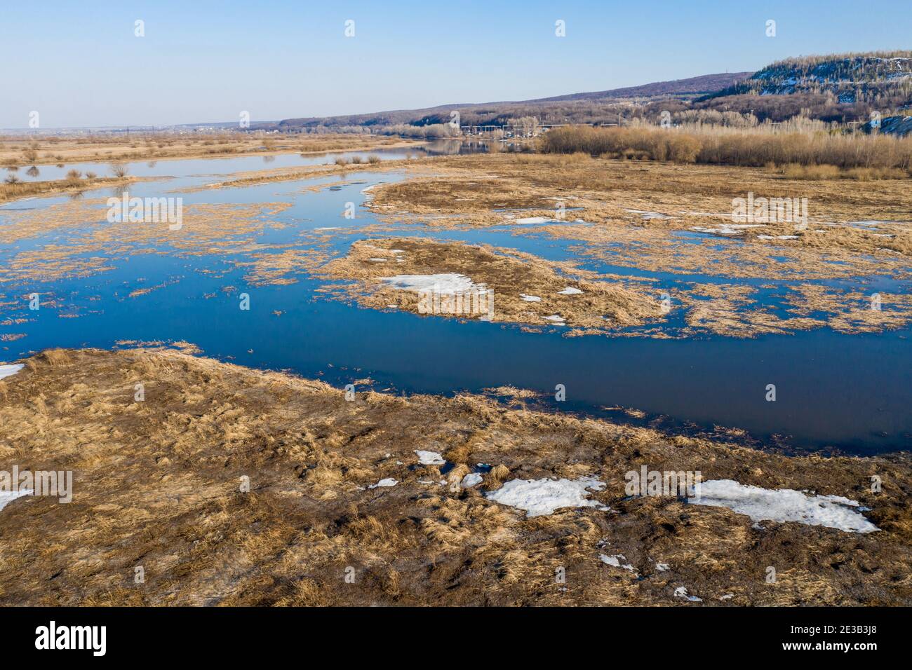 Spring lake with old yellow shrivel grass and bush Stock Photo - Alamy