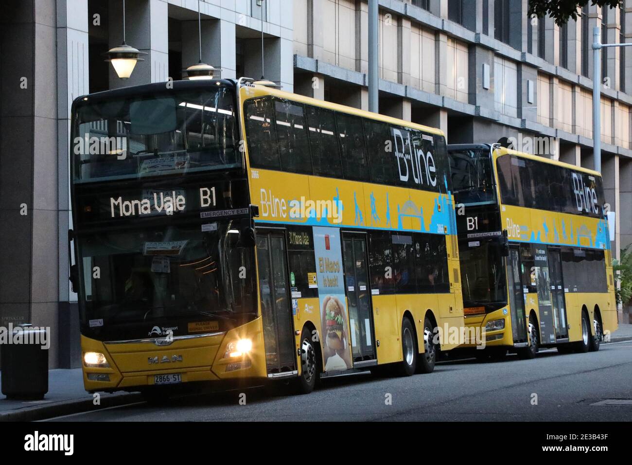 B-Line Northern Beaches yellow double-decker bus destined for Mona Vale ...