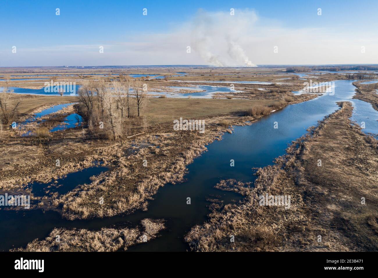 Reed grass video hi-res stock photography and images - Alamy