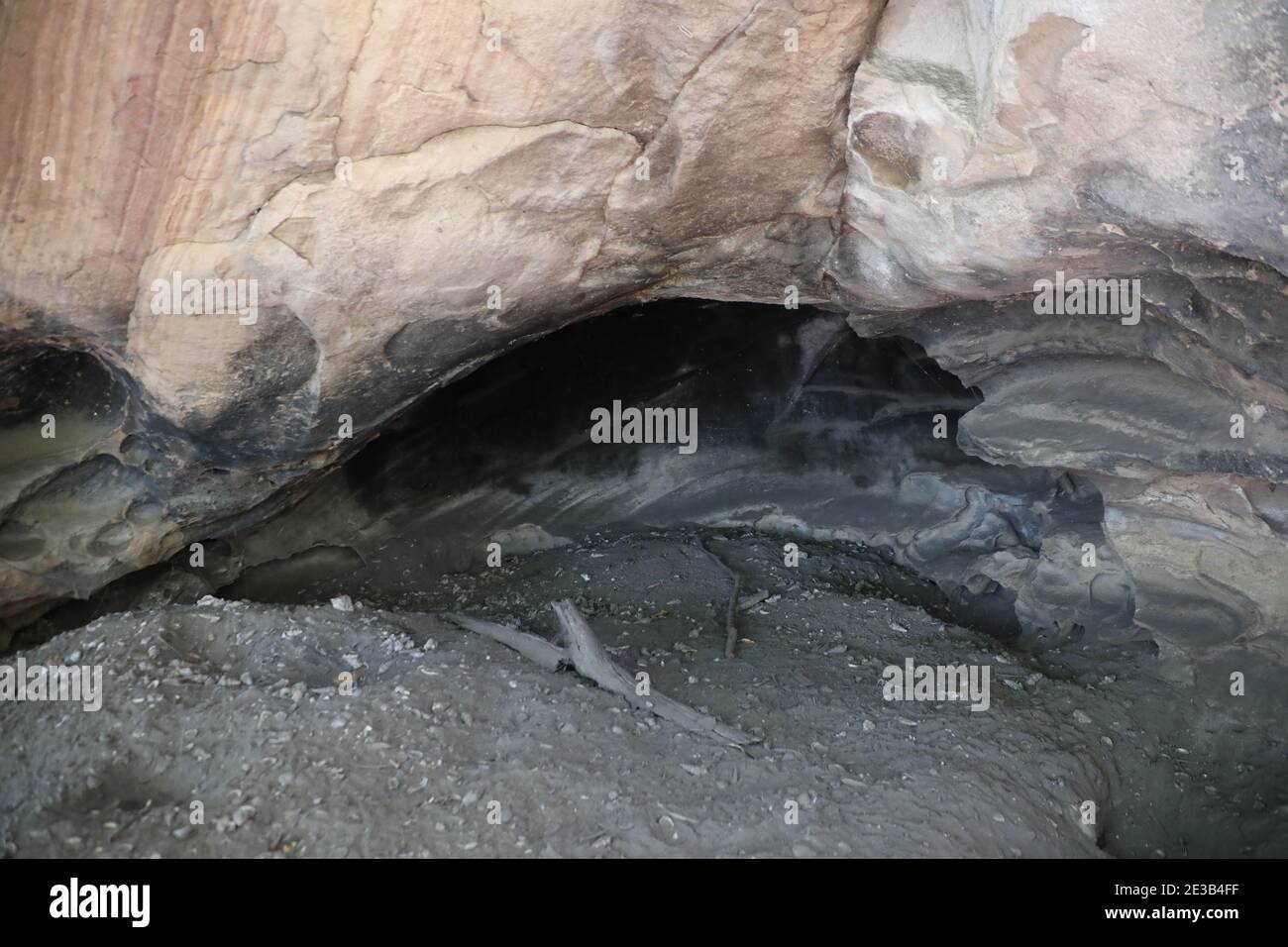 Bouddi national park bush hi-res stock photography and images - Alamy