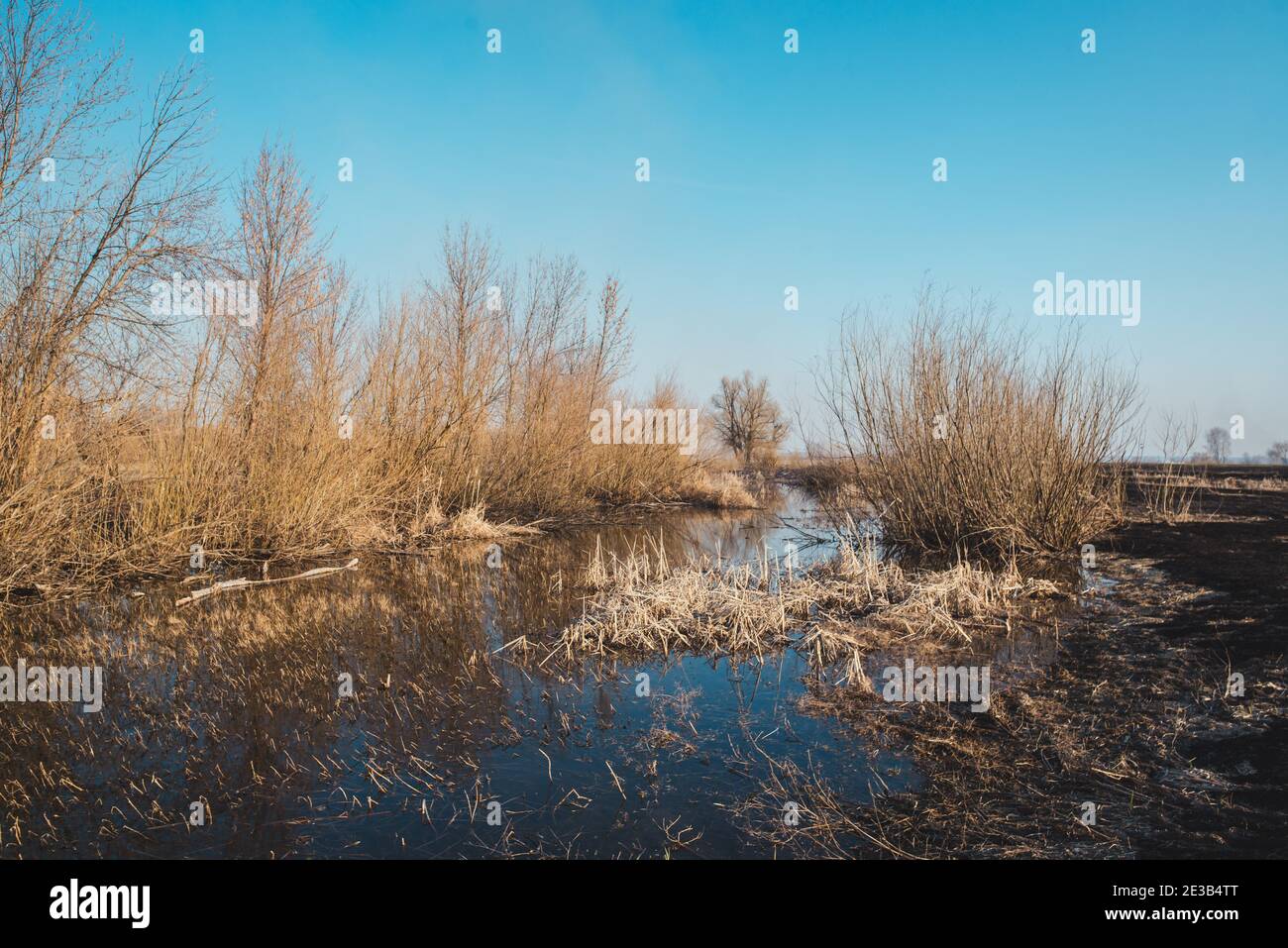 Fall lake with old yellow shrivel grass and bush Stock Photo - Alamy