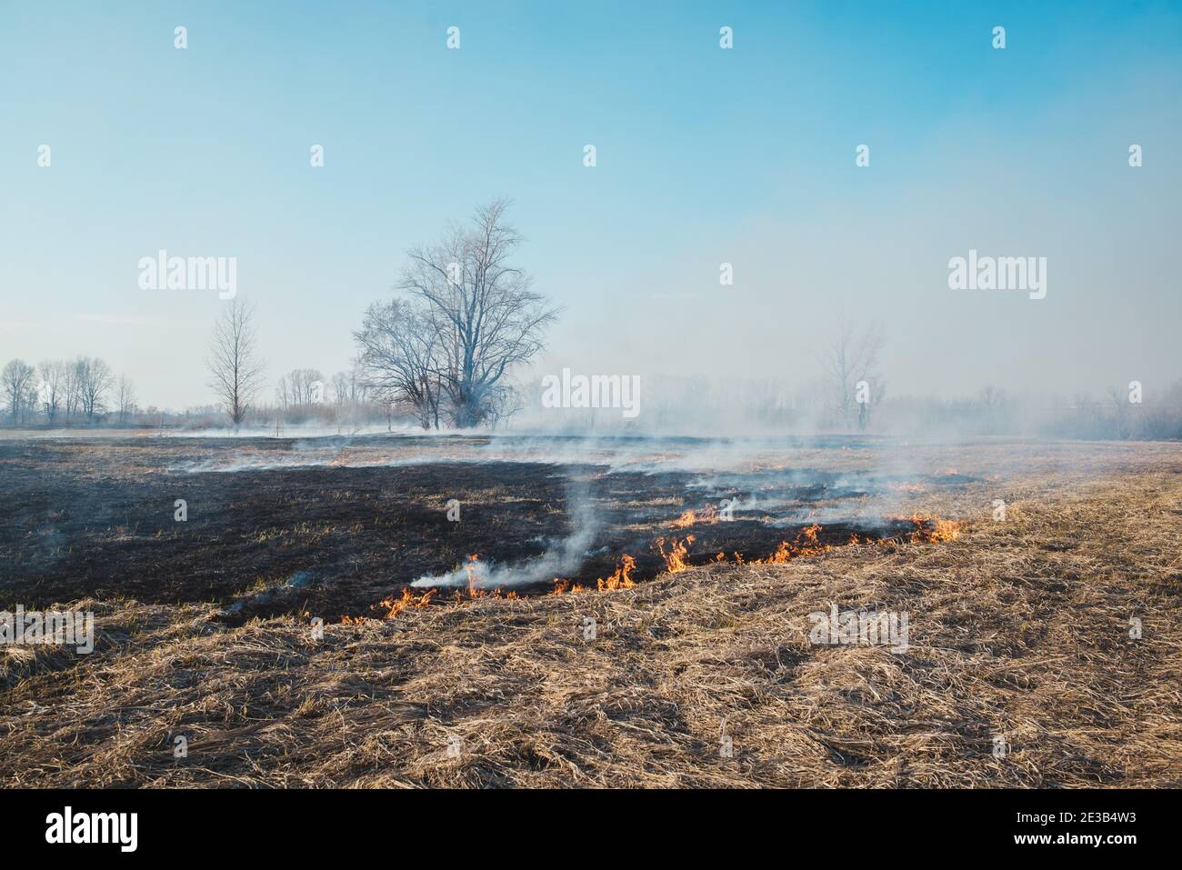Grassland fire hi-res stock photography and images - Alamy