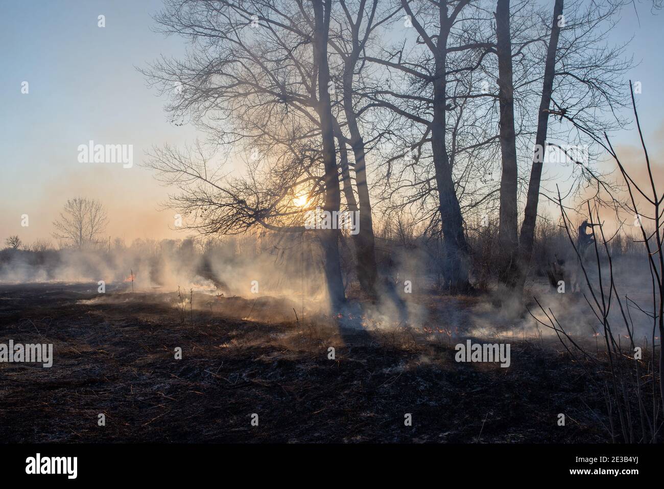 Grassland fire hi-res stock photography and images - Alamy