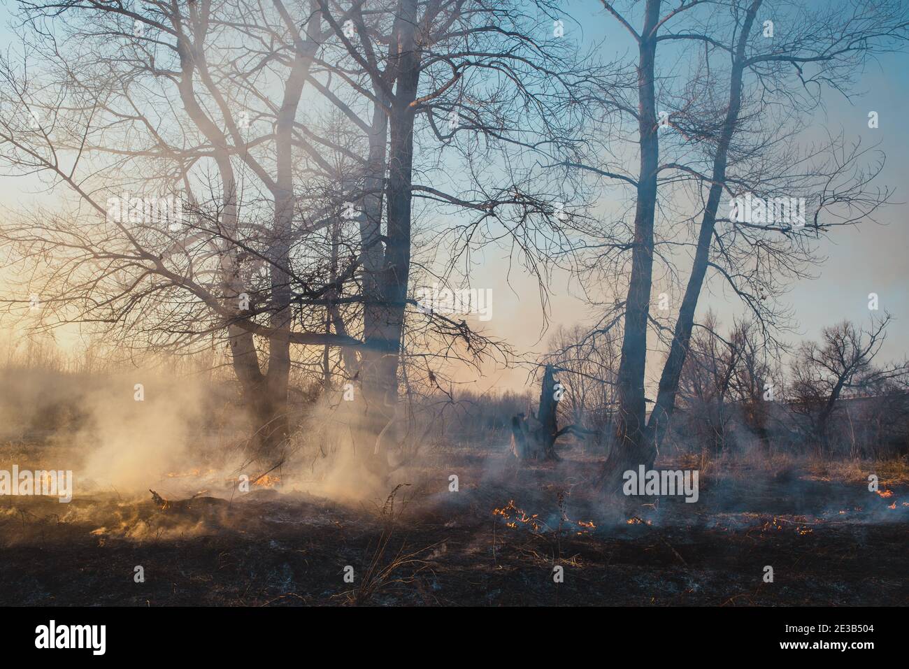 Grassland fire hi-res stock photography and images - Alamy