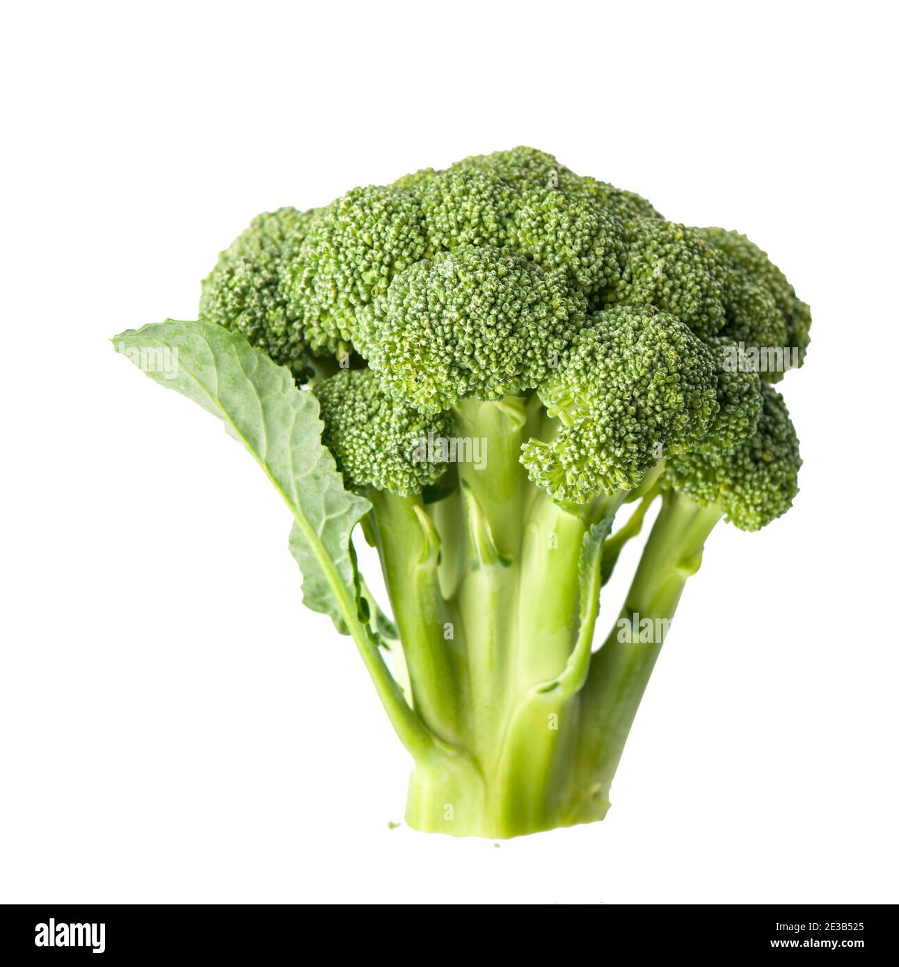 fresh green broccoli isolated on white background Stock Photo - Alamy