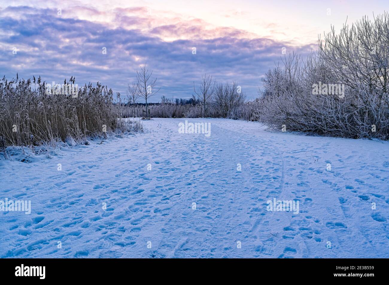 Narrow path through snow hi-res stock photography and images - Alamy
