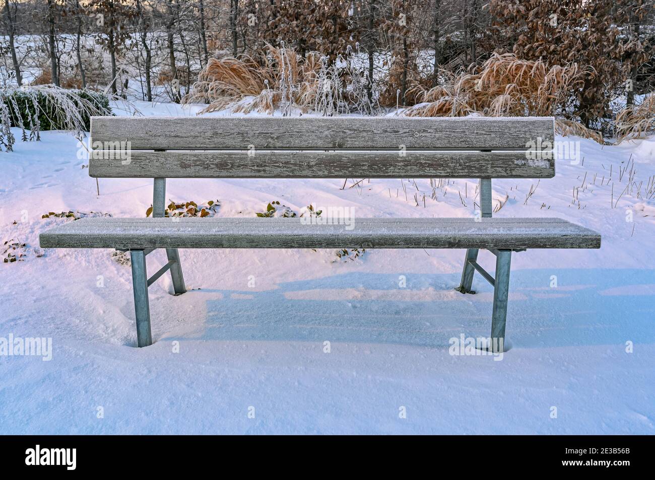 frozen empty park bench standing in Kumla Park Stock Photo - Alamy
