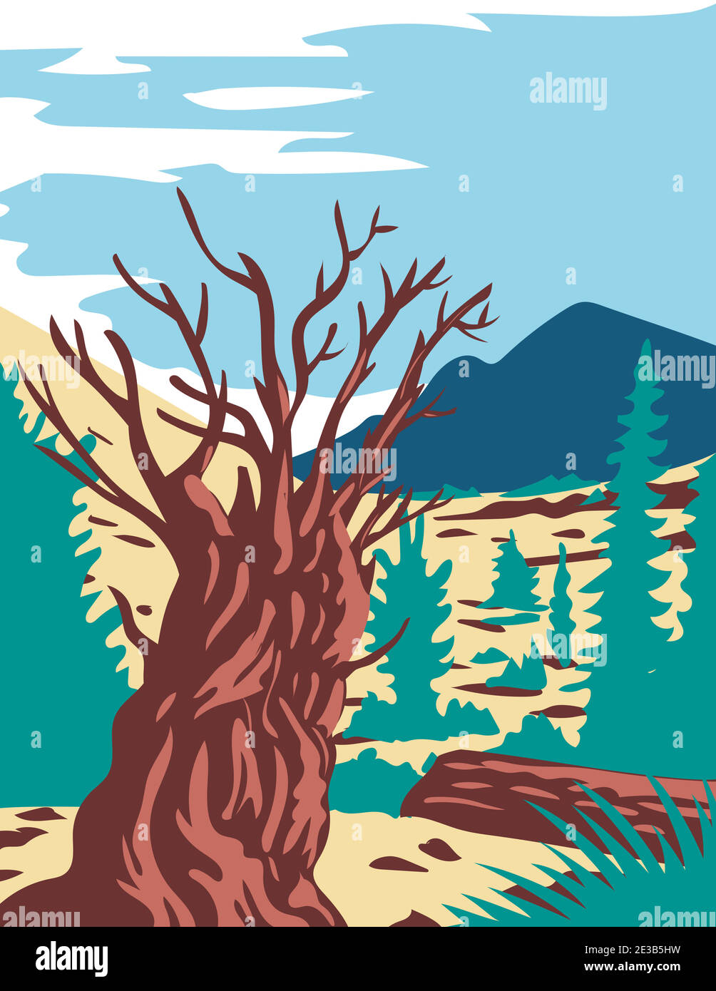 Bristlecone Pine Prometheus