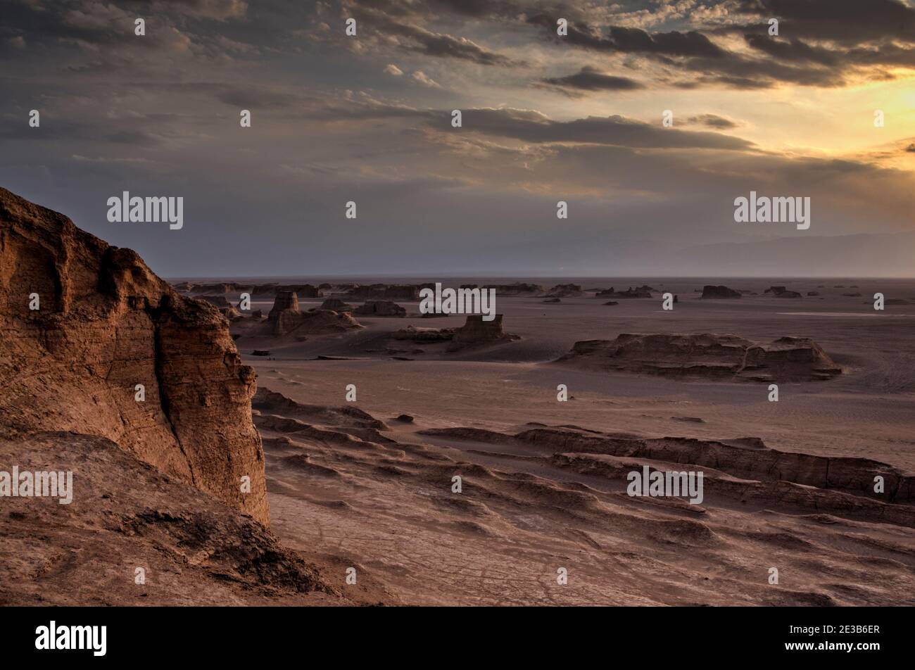 Kaluts hi-res stock photography and images - Alamy