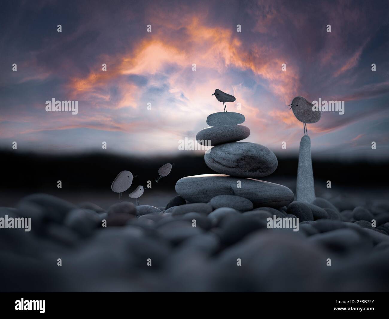 Birds Having Fun on the Beach Stock Photo - Alamy