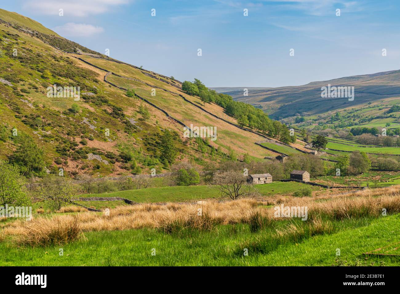 Swaledale landscape between Keld and Thwaite, North Yorkshire, England ...